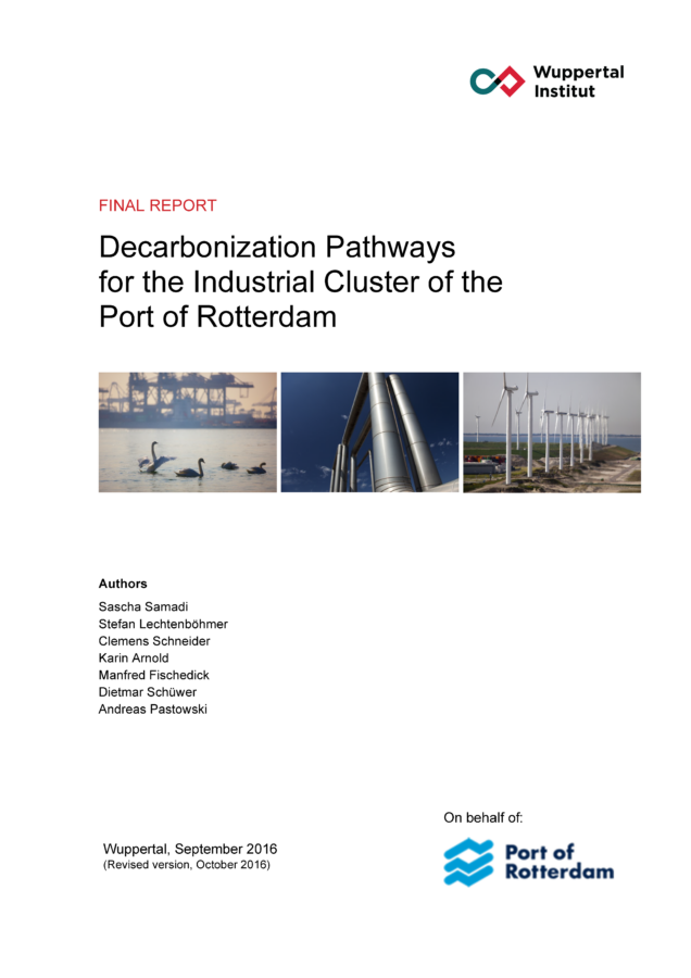 Decarbonization Pathways for the Industrial Cluster of the Port of ...